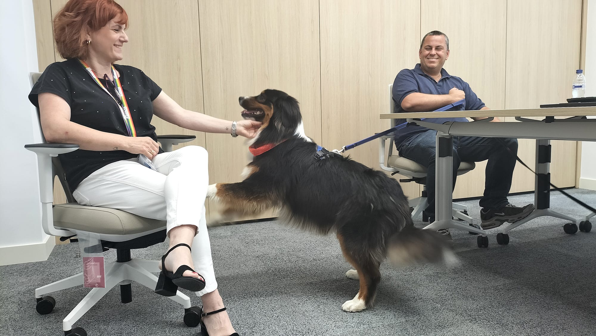 Elanco - Oficina Pet Friendly