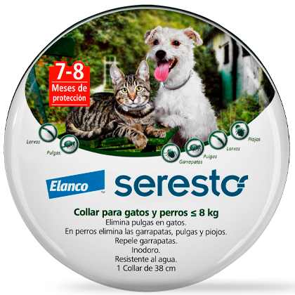 Collar antipulgas y antigarrapatas para gatos Seresto® | Página oficial ...
