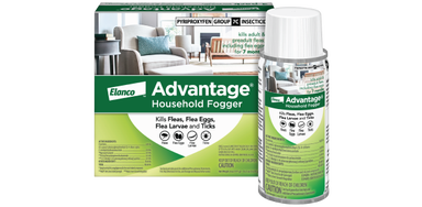 How to Help Get Rid of Fleas in Your House