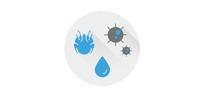 Ear infections in dogs: What You Need to Know