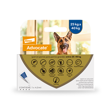 Advocate para perros | Tratamiento contra pulgas, gusano del corazón y ...