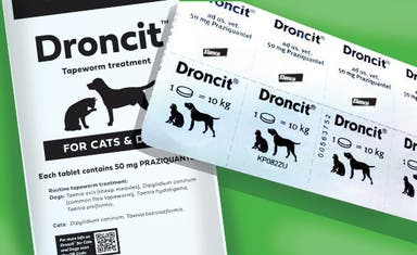 Droncit™ | NZ