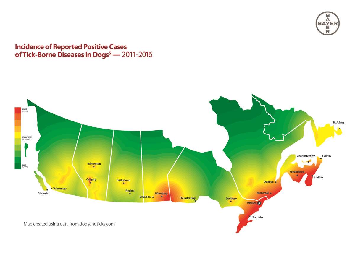 La prévalence des tiques augmente-t-elle dans ma région?