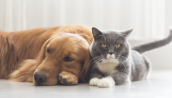 Pet Protect™ Omega-3 Fish Oil