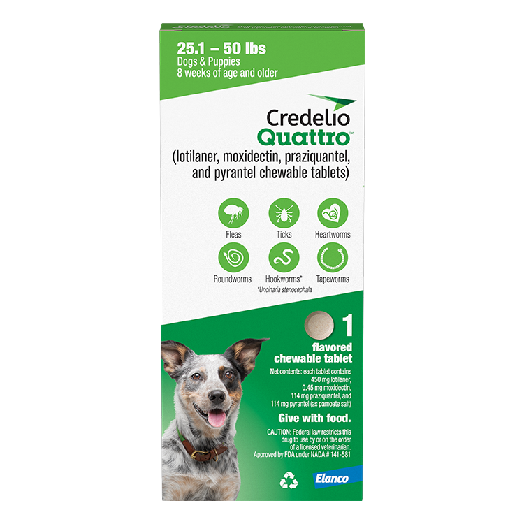 Credelio Quattro™ | FAQs | Elanco