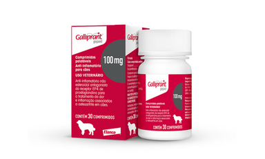 Galliprant™ tratamento eficaz para osteoartrite canina.