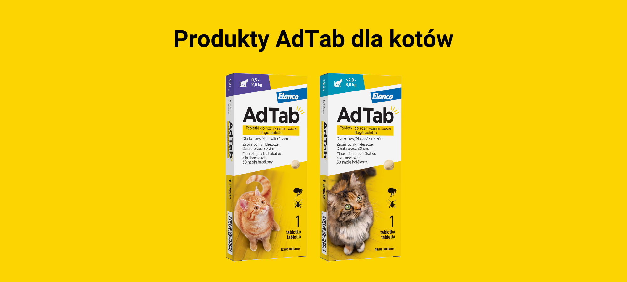 AdTab - tabletki na kleszcze i pchły dla kotów