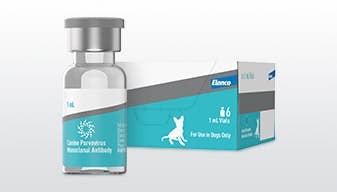 Secure Your Dog's Wellbeing with One-Dose Parvo Treatment