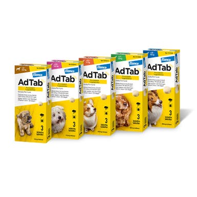 Fördelarna med att välja AdTab