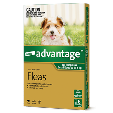 Advantage™ Dog Flea Treatment: Fast and Safe