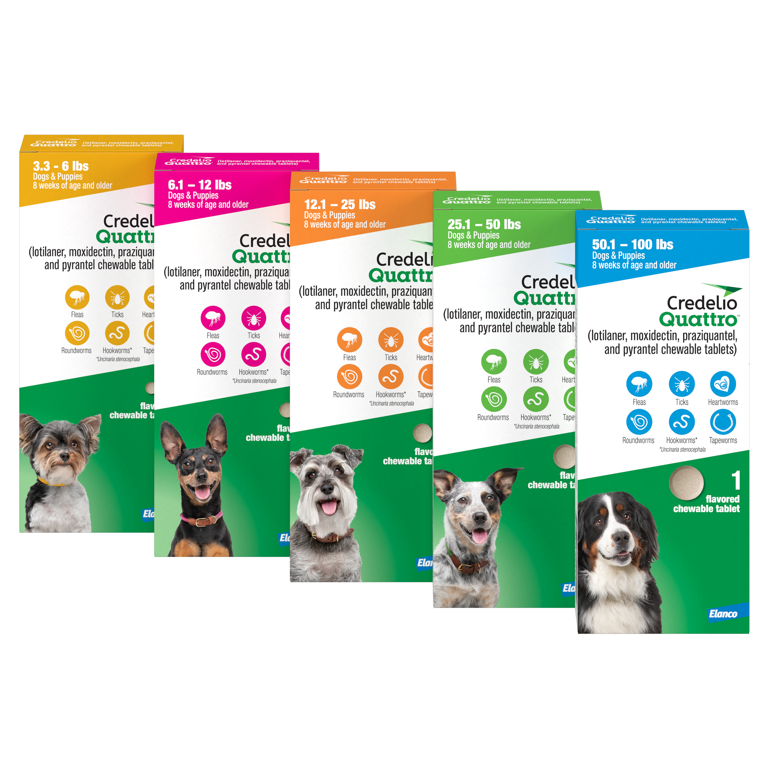 Credelio Quattro™: The Broadest Parasite Protection for Dogs