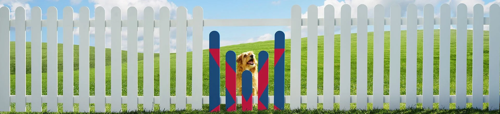 How to identity and manage worms in pets