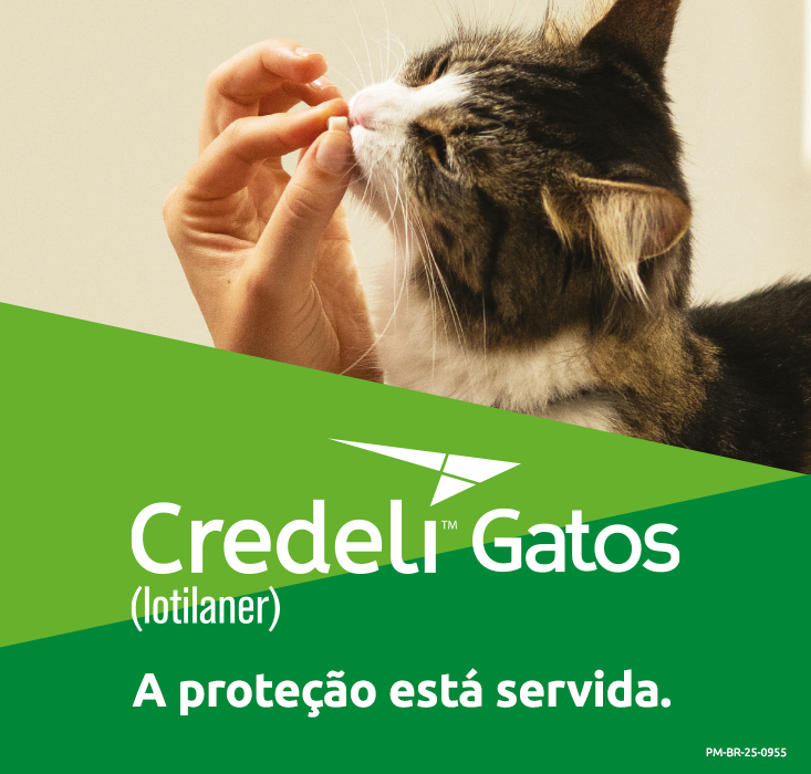 Credeli Gatos