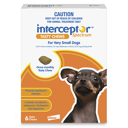 Interceptor™ Spectrum for Dogs — Treats Dangerous Worms | Elanco