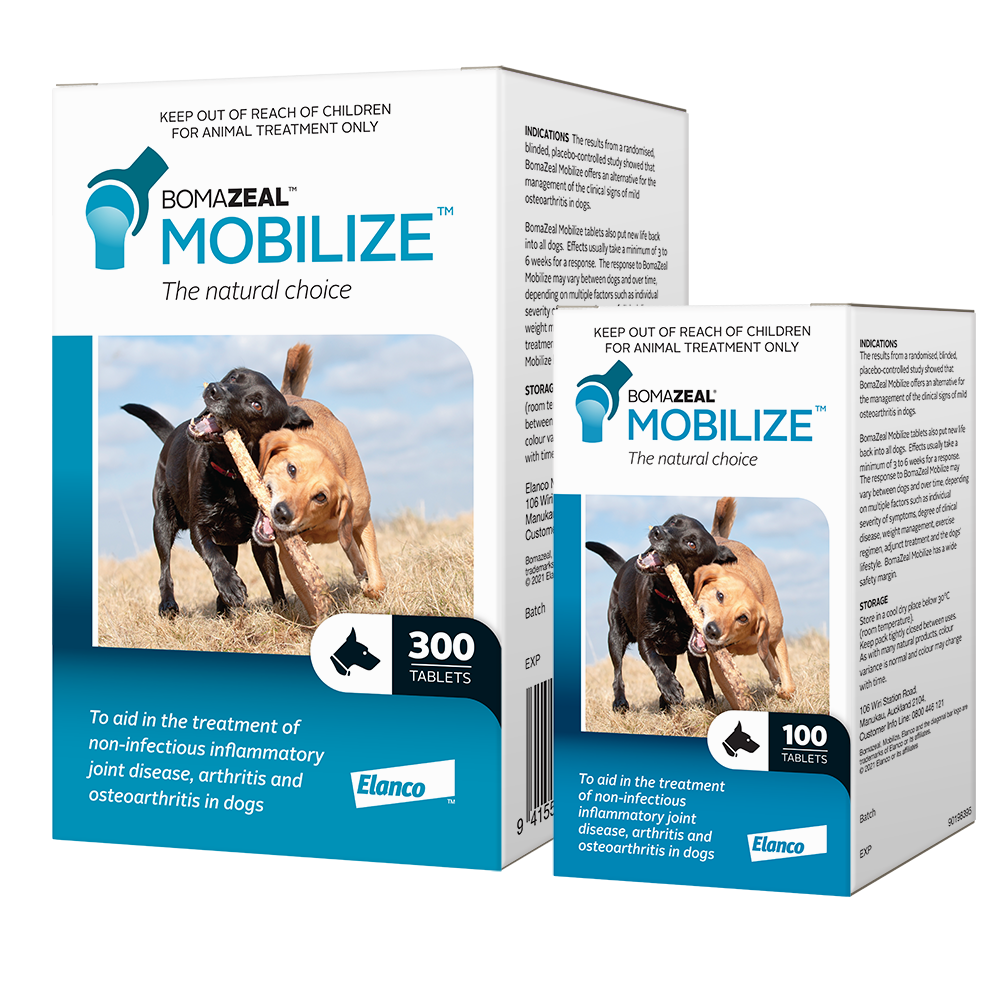 BomaZeal™ Mobilize™: The natural choice for joint health for dogs | NZ