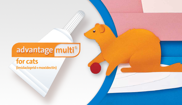 Advantage Multi® for Cats | Vet-approved Flea and Heartworm Protection
