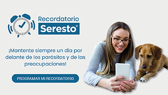 Seresto® Gatos: collar antiparasitario para gatos y gatitos